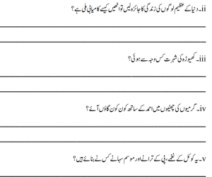 MCM Sample Paper Urdu 8th Class Entry Test New Paper Pattern - Basic ...